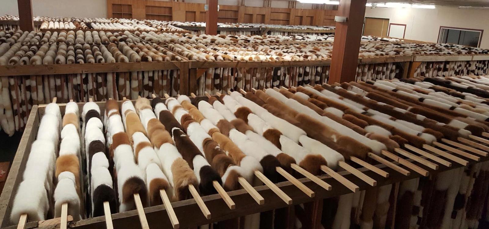 Alpaca Rugs - Alpaca Field online NZ